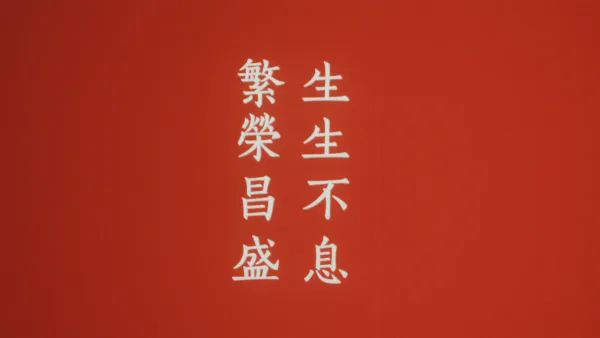 Unpacking the Learn Chinese Buddy Meme Phenomenon