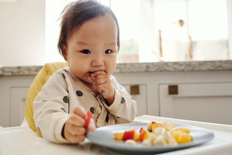 Baby-Led Weaning vs Traditional Feeding